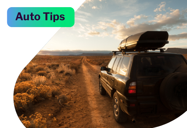 Off-roading safety | Avo Auto