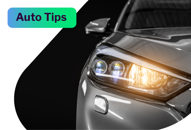 Vehicle headlight globes | Avo Auto