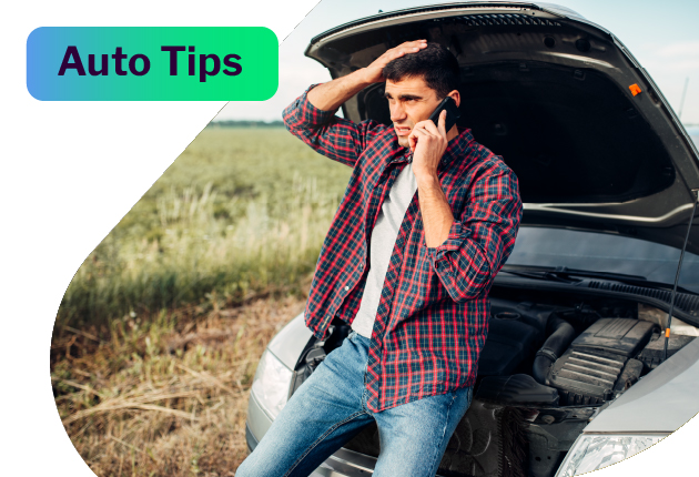 The Benefits of Vehicle Insurance | Avo Auto