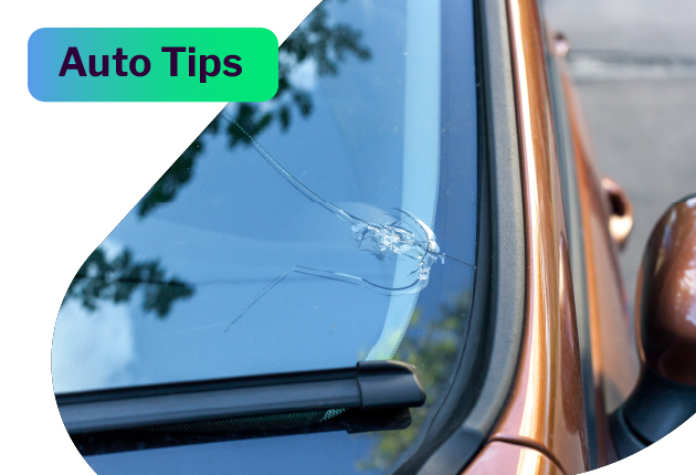 Warning signs of a bad windshield | Avo Auto