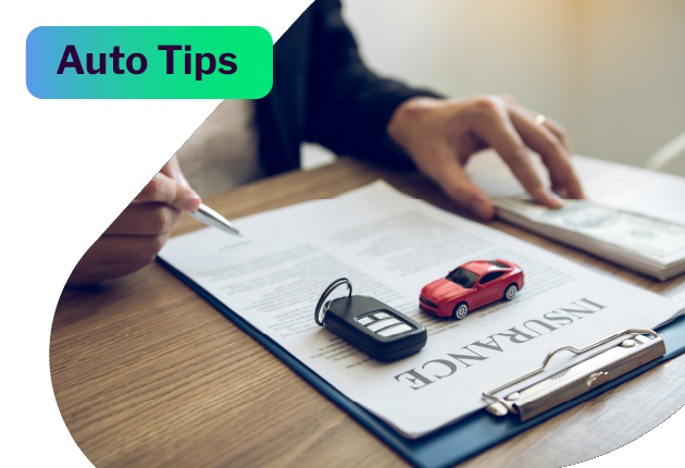 Vehicle insurance excess | Avo Auto