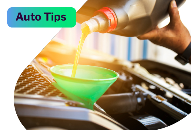 Minor vs major car service | Avo Auto