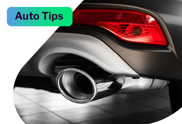 Exhaust Tips | Avo Auto